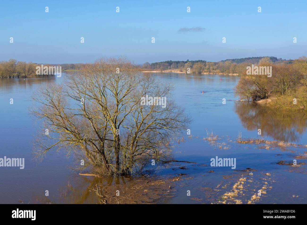 Flooded river bank / riverbank at the Lower Saxon Elbe Valley Biosphere ...