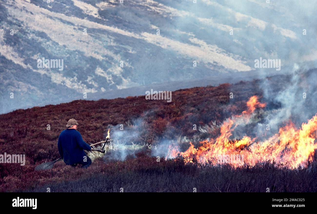 Traditional heather burning on grouse moors in Scotland Stock Photo - Alamy