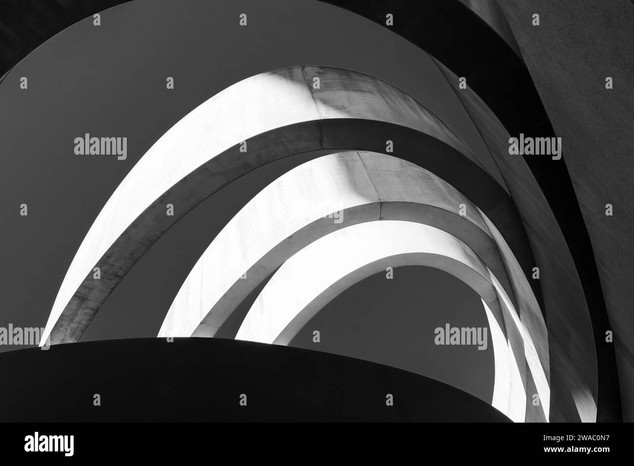 Striking monochrome architectural feature with sweeping curves and a ...