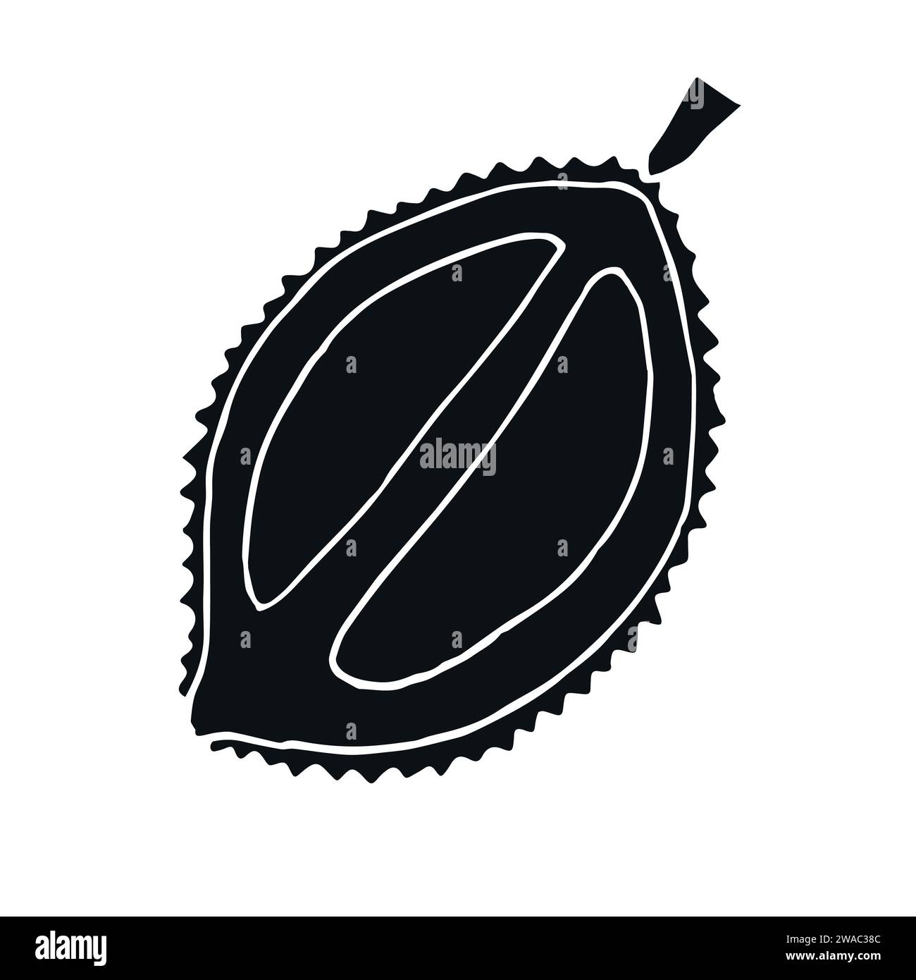 Vector hand drawn doodle sketch black durian fruit isolated on white background Stock Vector ...