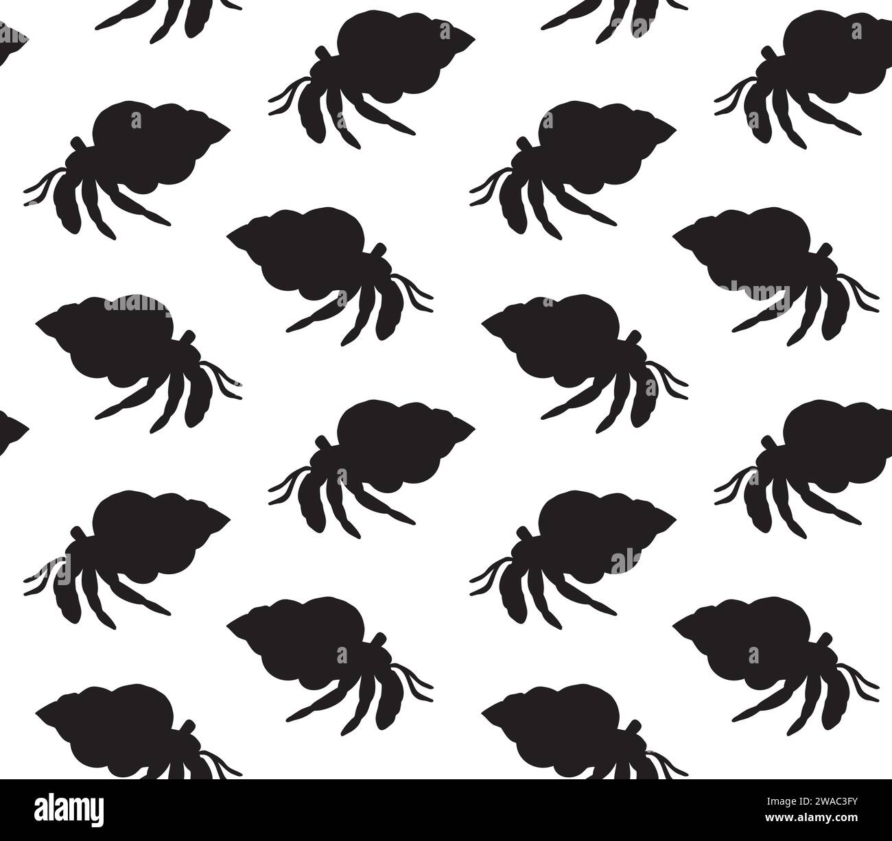 Hermit crab on beach Black and White Stock Photos & Images - Alamy