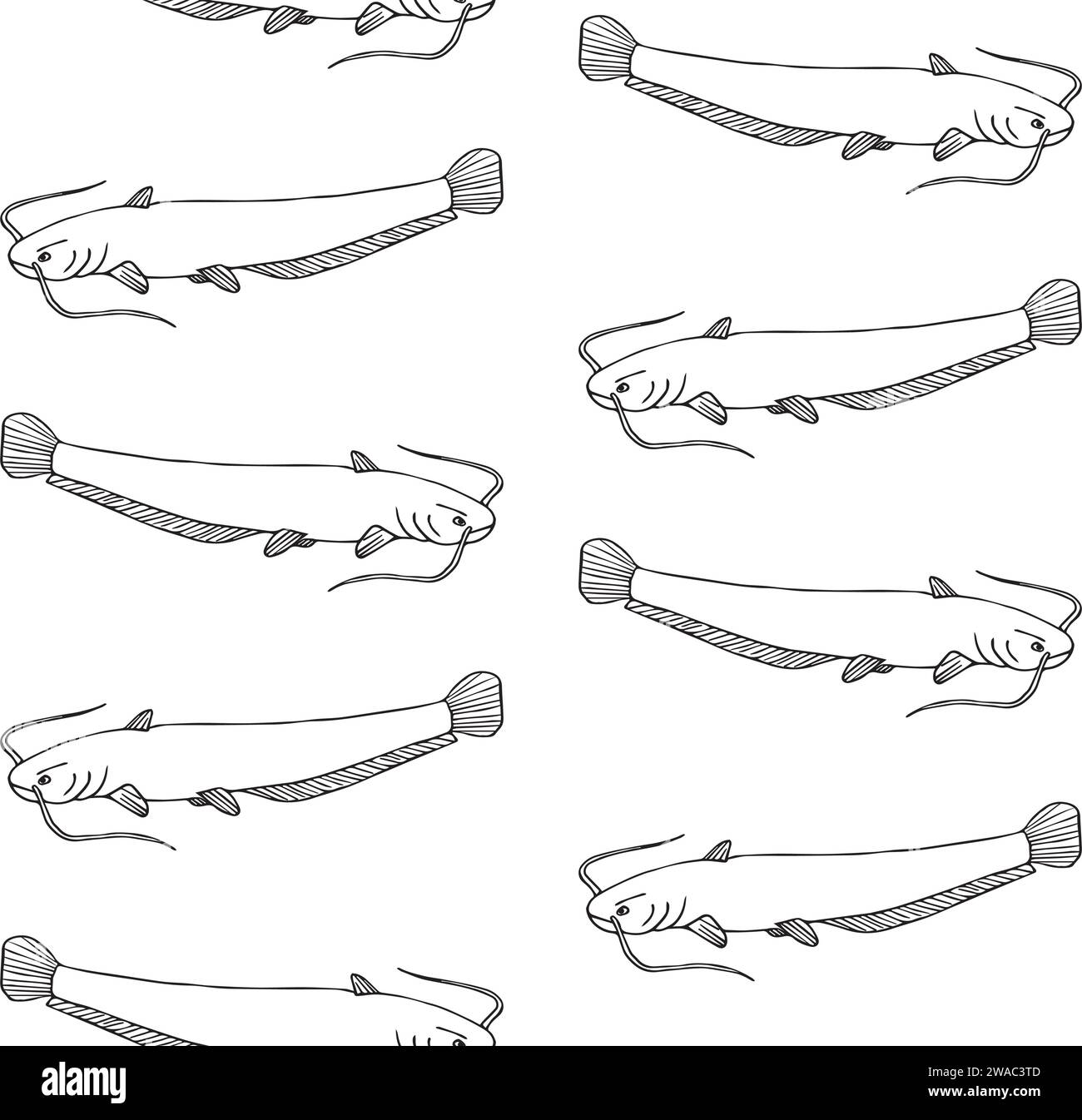 Vector seamless pattern of hand drawn doodle sketch catfish fish ...