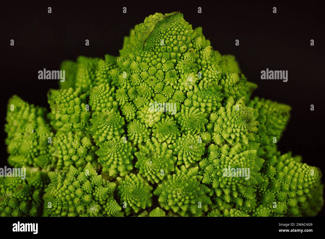 Inflorescences of green fresh Romanesco broccoli isolated on dark ...