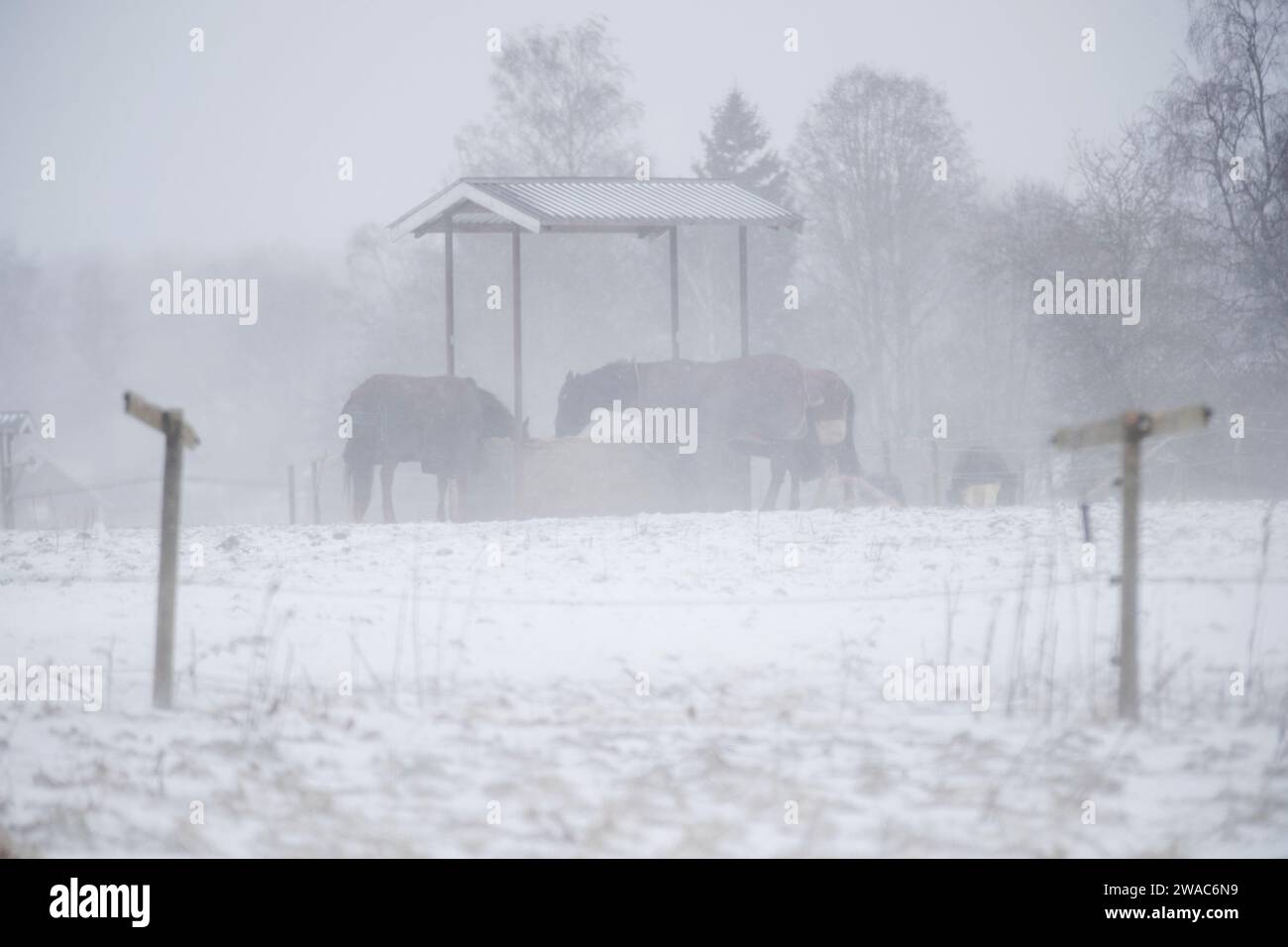 Seasonal weather, cold and snowy weather during a winter storm on ...