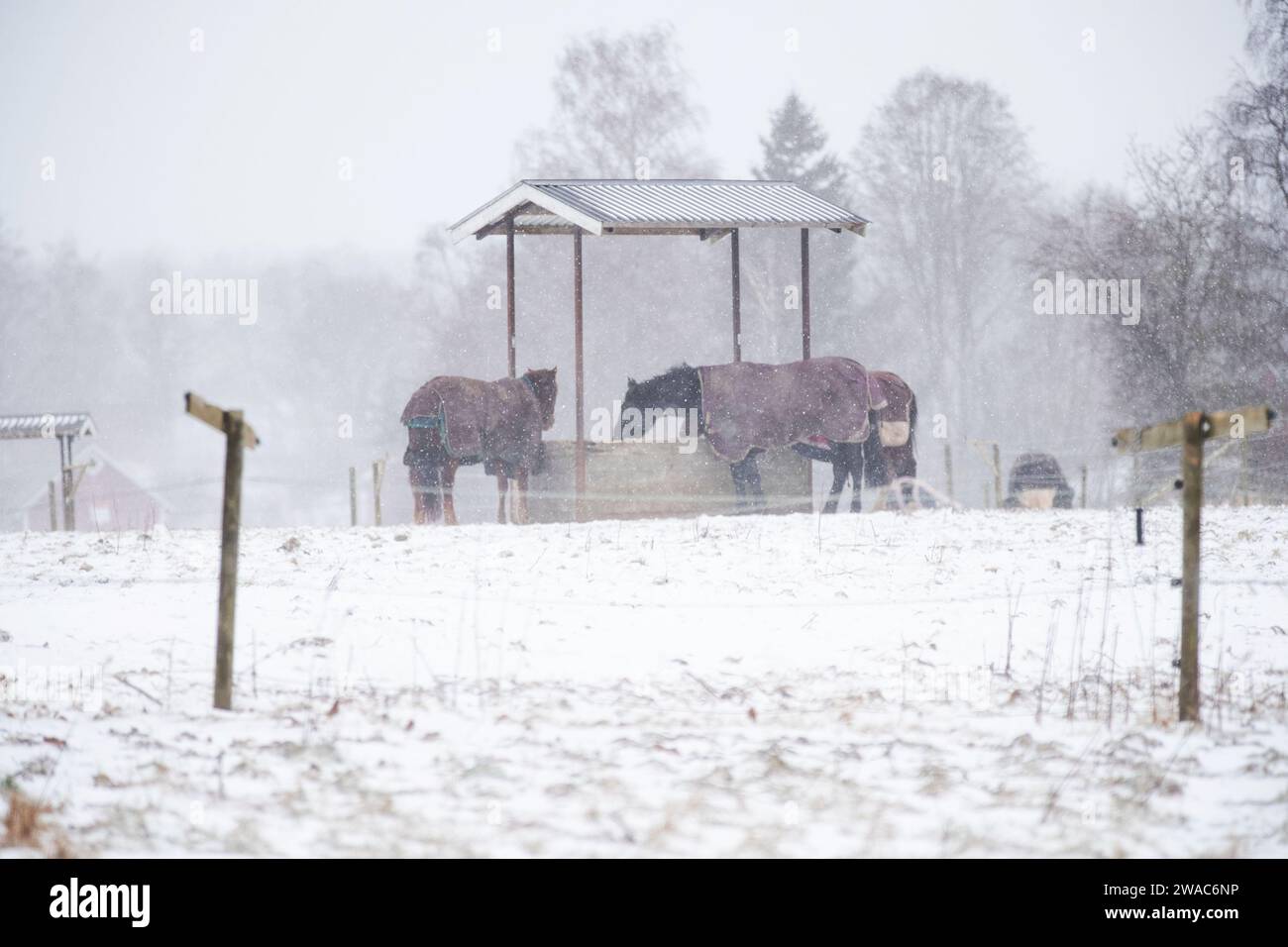 Seasonal weather, cold and snowy weather during a winter storm on ...