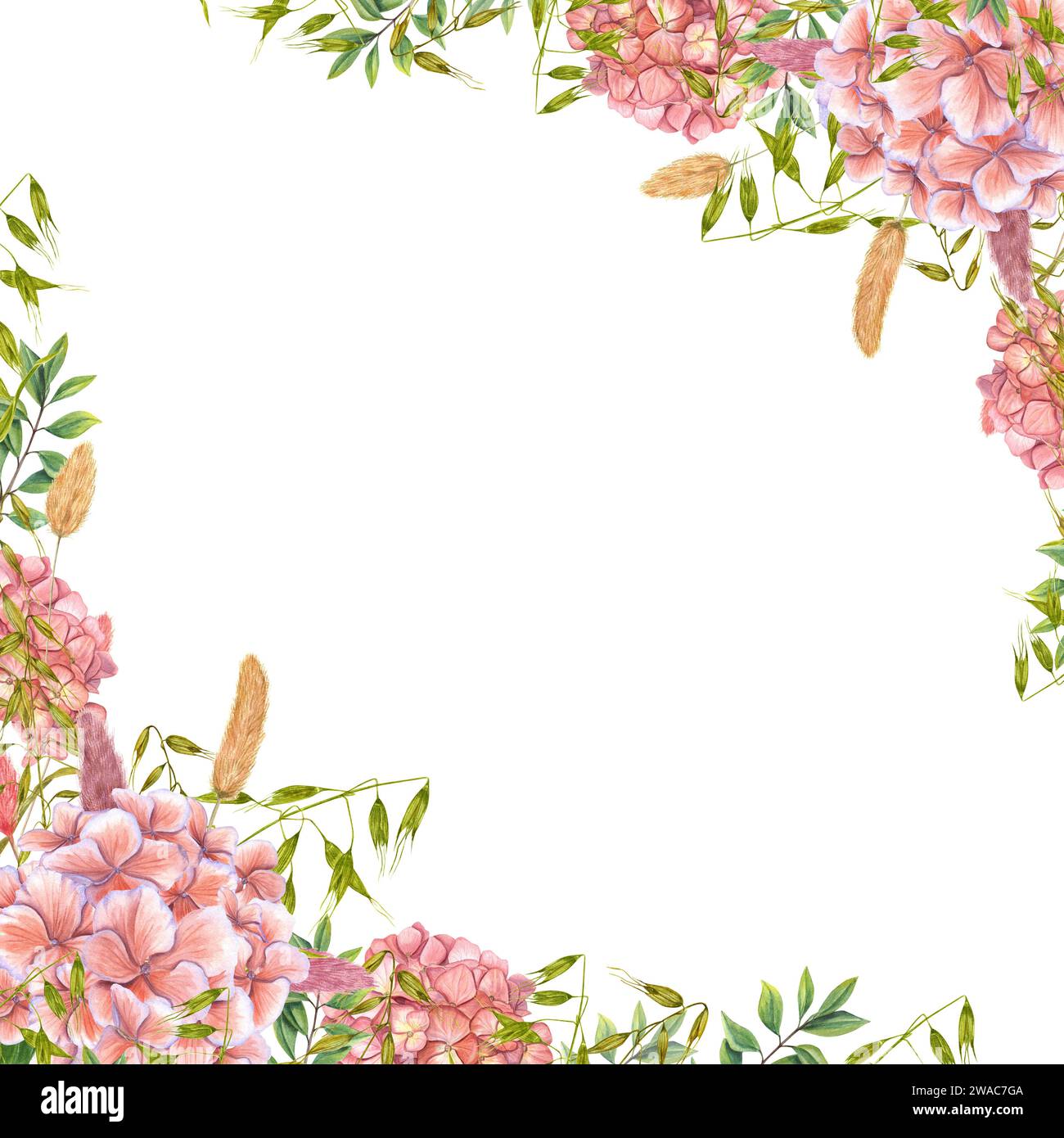 Square frame with hydrangea, lagurus, wild oats. Flower, greenery and ...