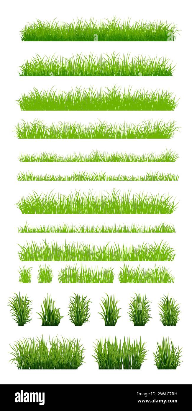 Green grass silhouette. Cartoon lines of plants and shrubs for boarding ...