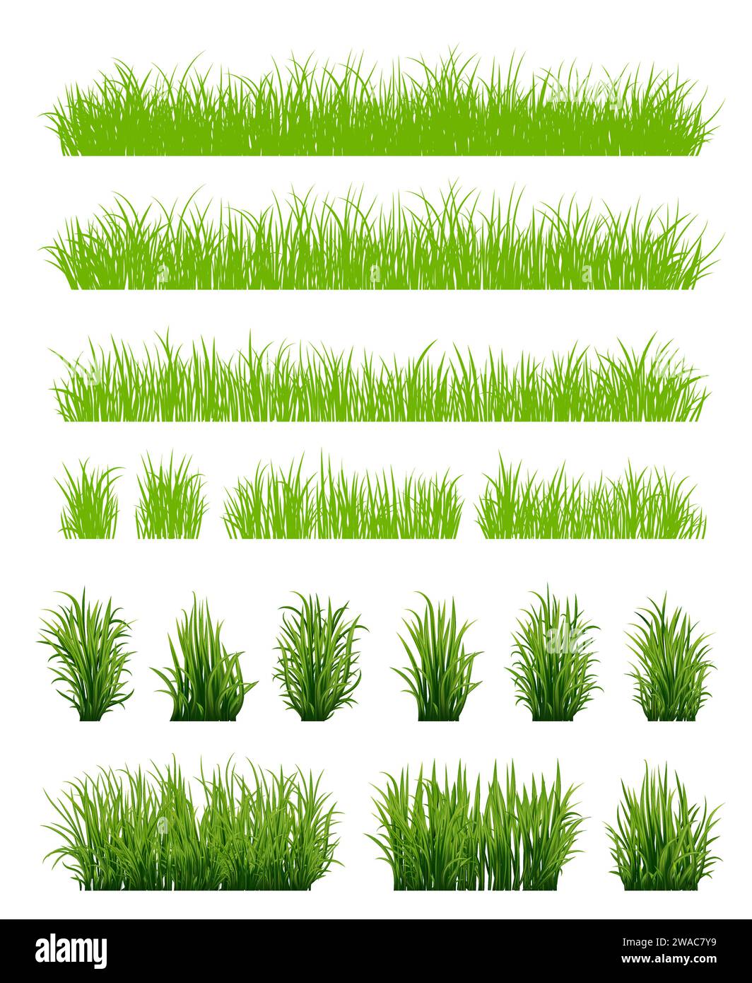 Summer garden borders plants shrubs Stock Vector Images - Alamy