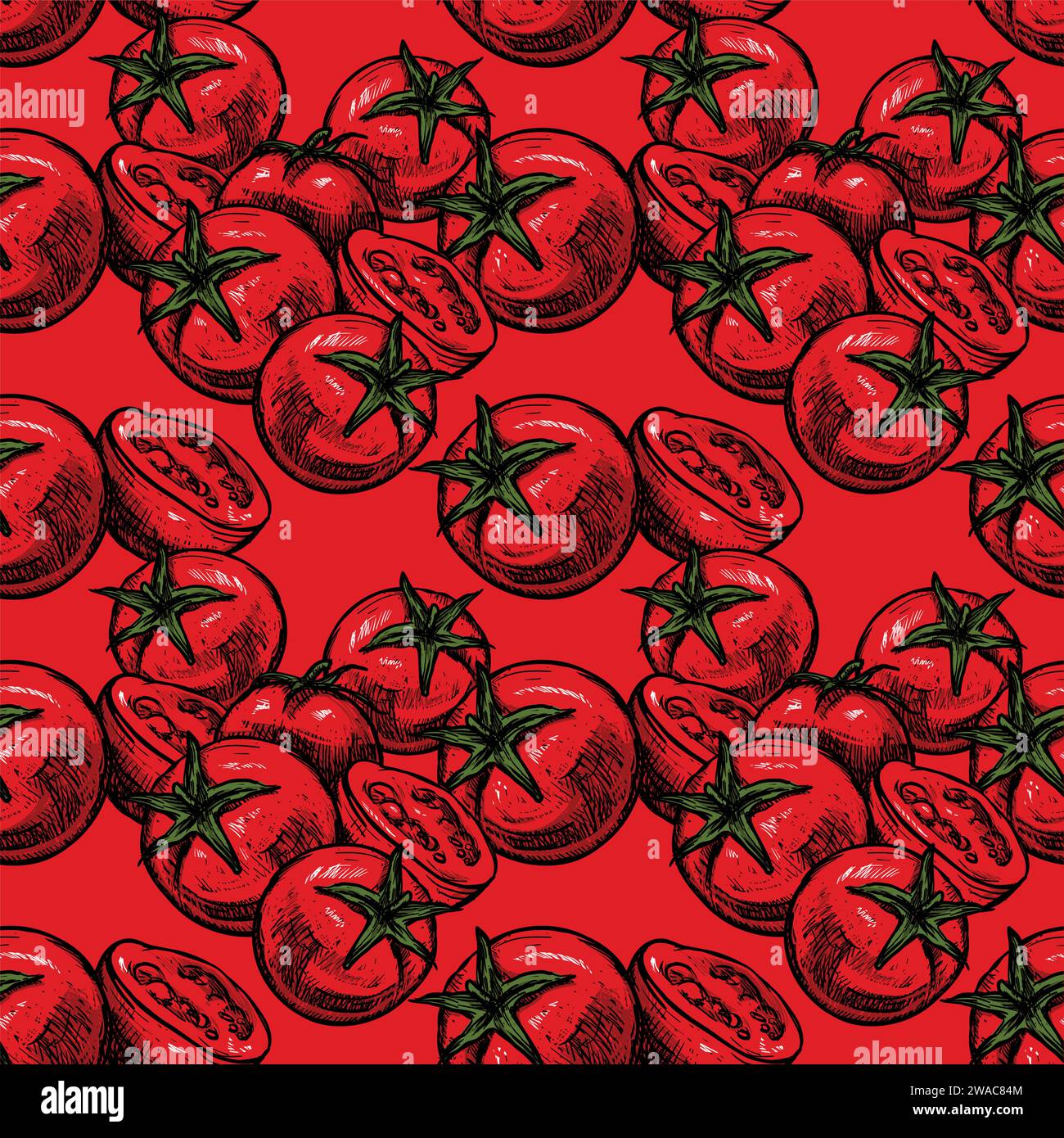 Tomatoes pattern isolated on white background. Hand drawn and sketch ...