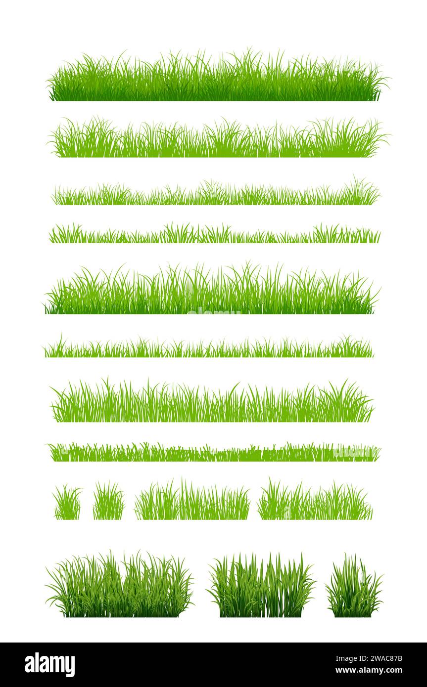 Meadow green grass lines Stock Vector Images - Alamy