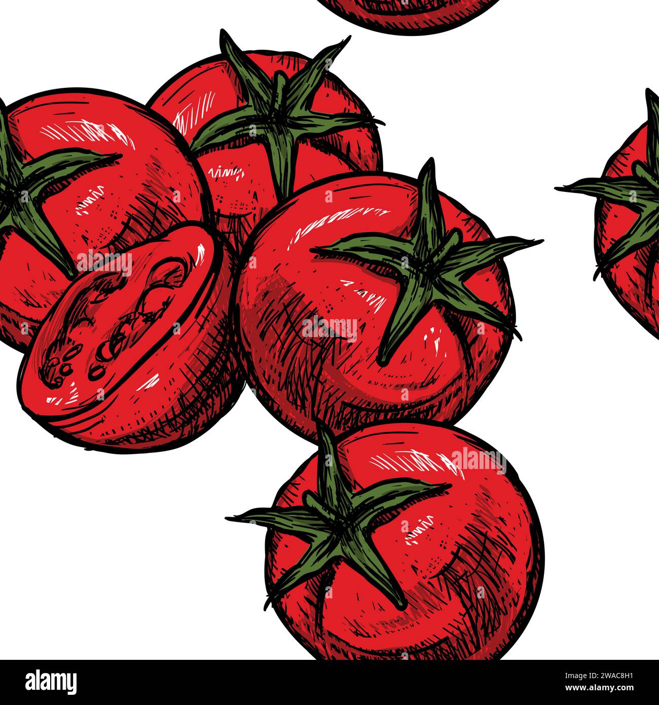Tomatoes pattern isolated on white background. Hand drawn and sketch ...