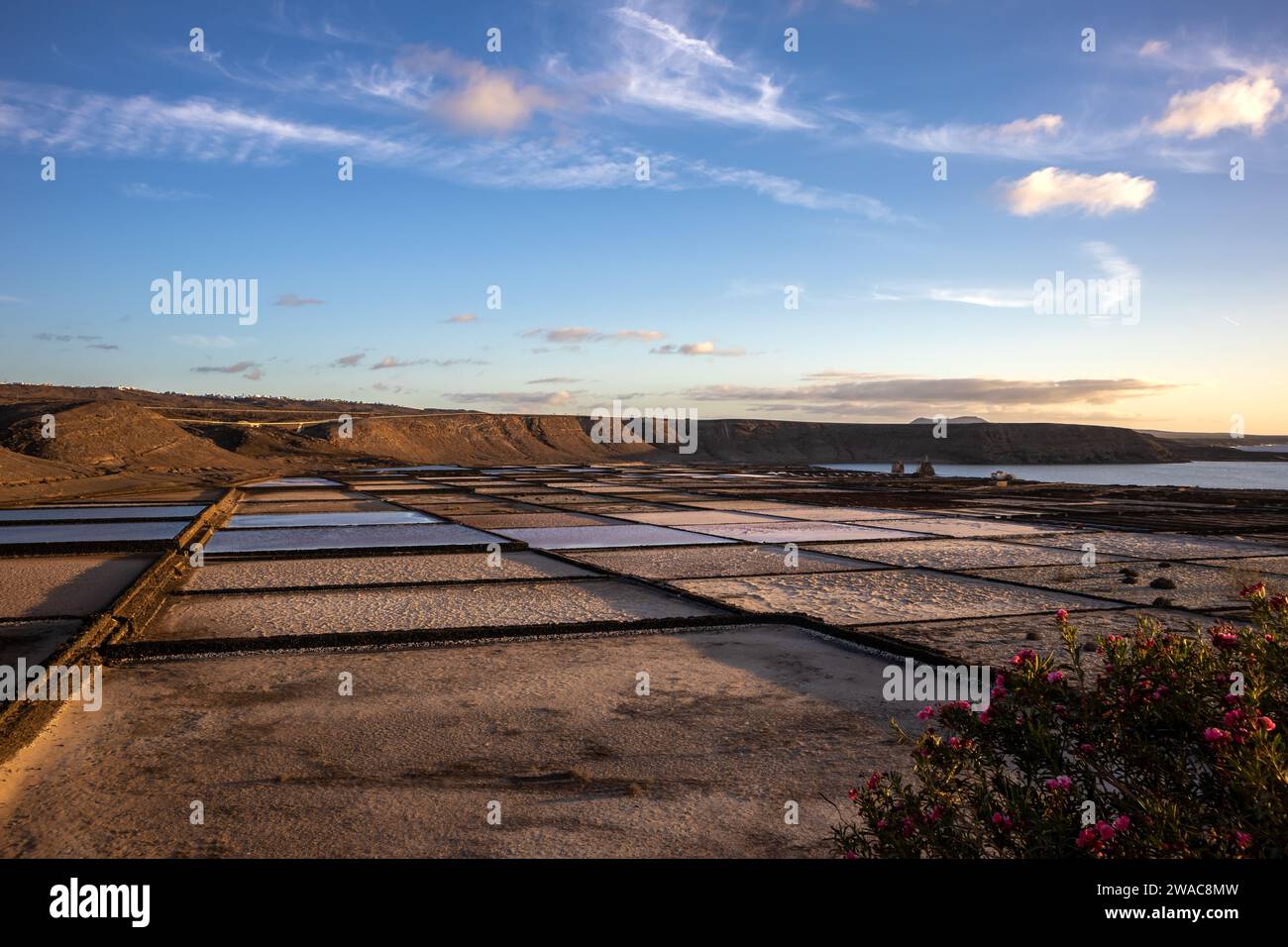 Photogenic industry: salt pans on the coast of the Atlantic ocean ...