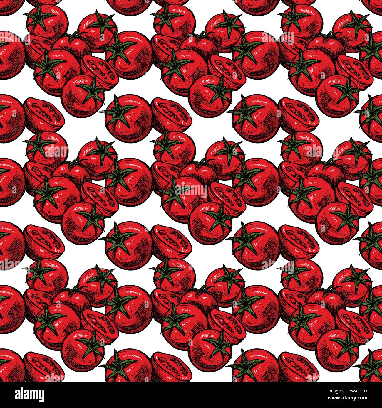 Tomatoes pattern isolated on white background. Hand drawn and sketch ...