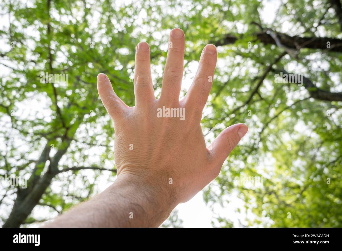Blocking the sun hi-res stock photography and images - Alamy