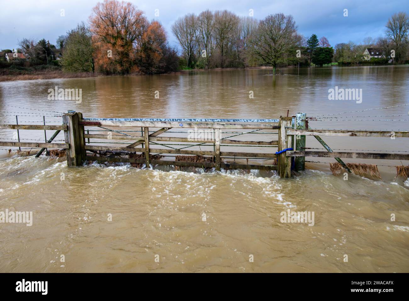 Flood water flowing through gate from field across the road after the river Avon at Lacock burst ...