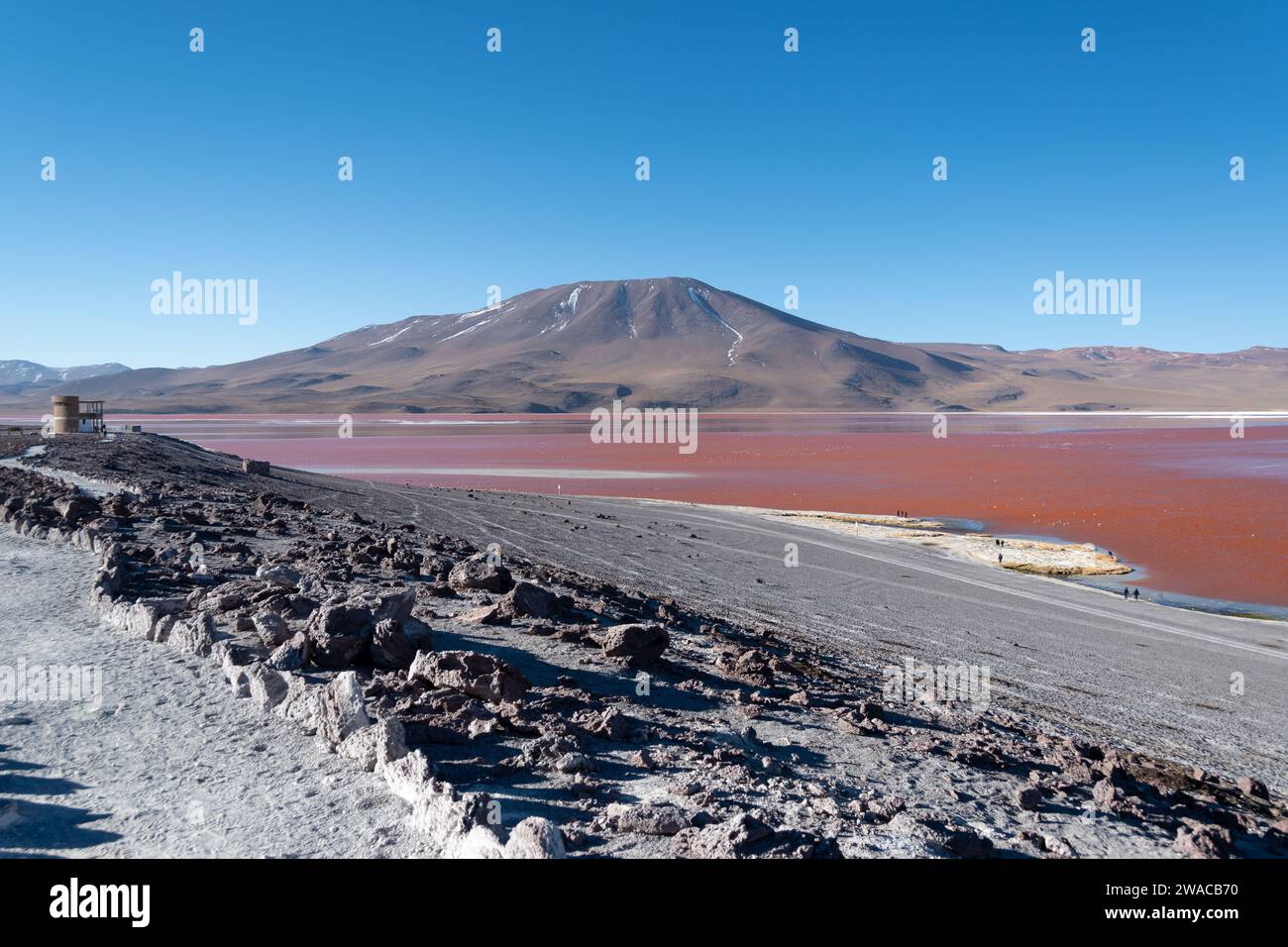 Reserva de Fauna y Flora Eduardo Avaroa, Bolivia Stock Photo - Alamy