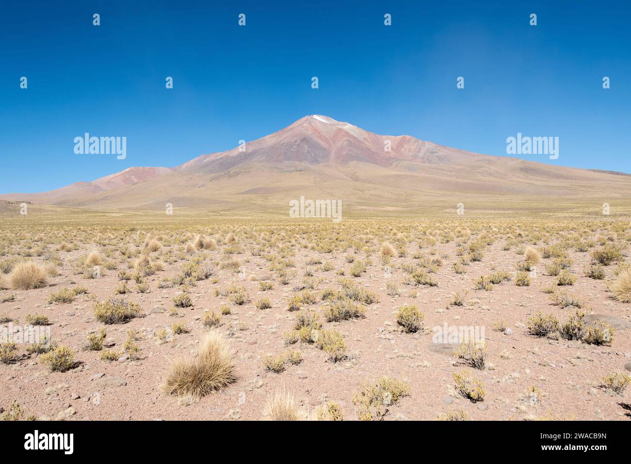Reserva fauna y flora eduardo avaroa hi-res stock photography and ...