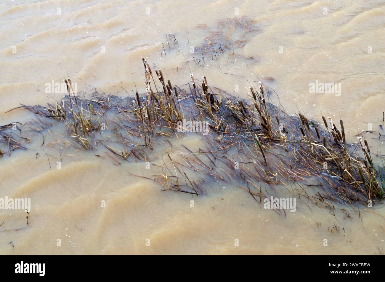Dreckiges wasser hi-res stock photography and images - Alamy