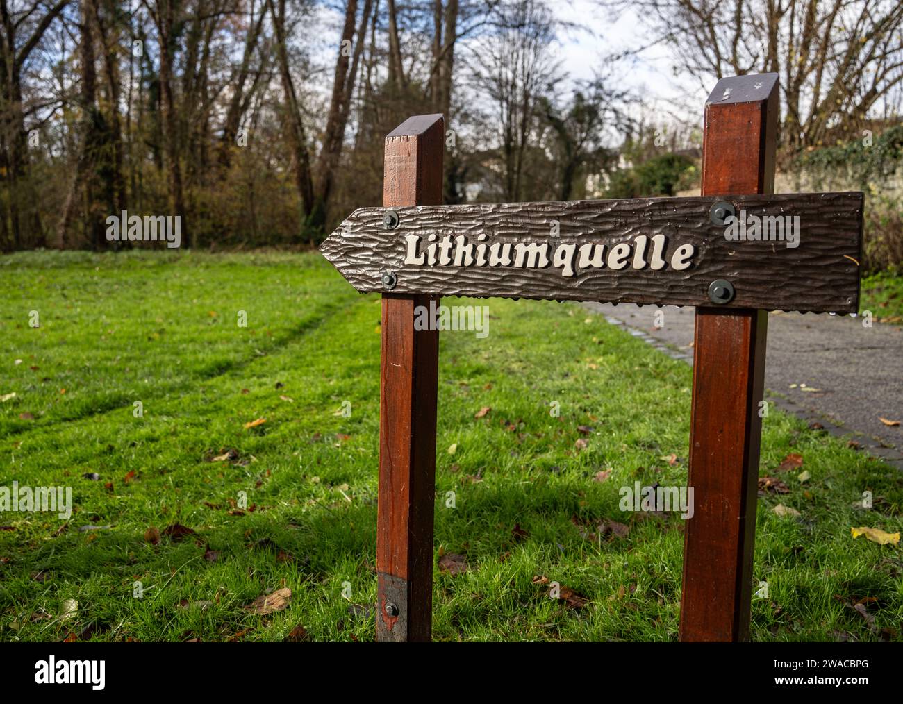 Bad Salzhausen, Germany. 24th Nov, 2023. A picture in the spa gardens ...