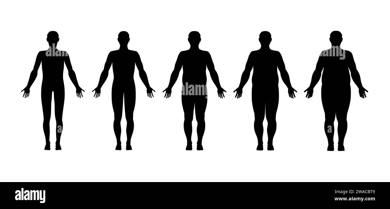 Body mass index vector illustration from underweight to extreme obesity ...