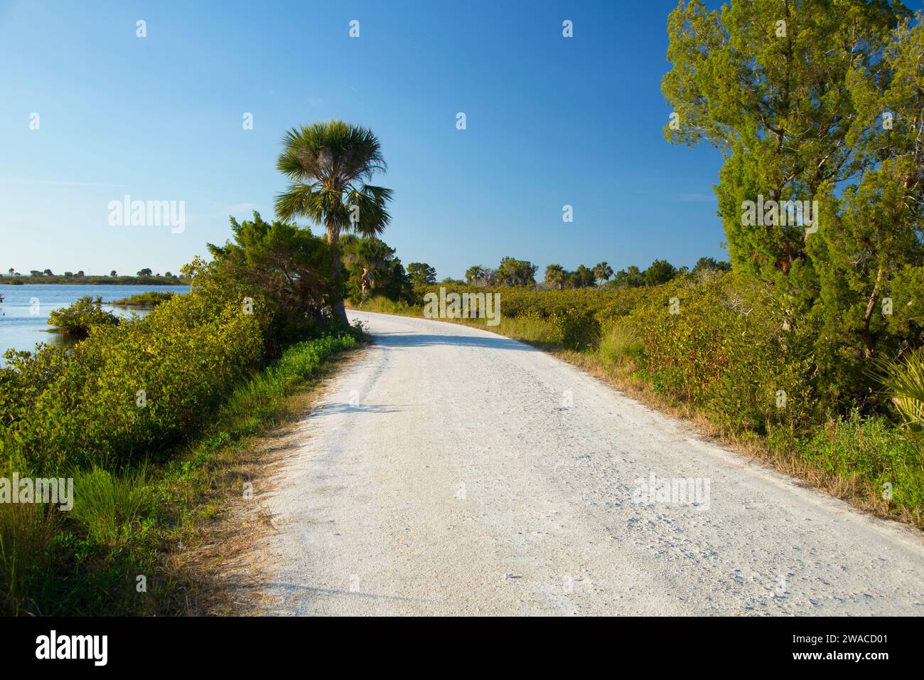 Black Point Wildlife Drive, Merritt Island National Wildlife Refuge ...