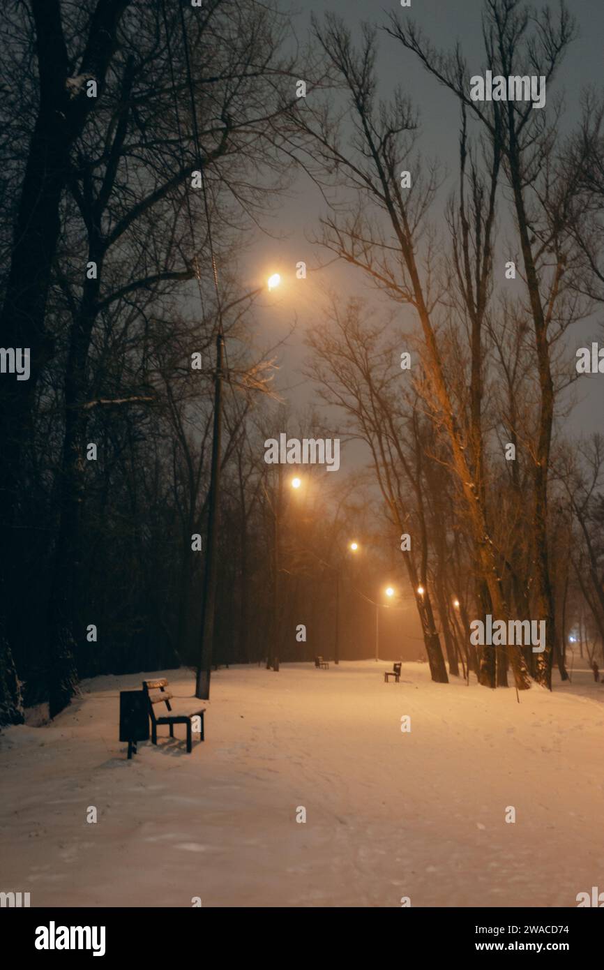 Empty winter park with street lamps at night. Winter landscape ...