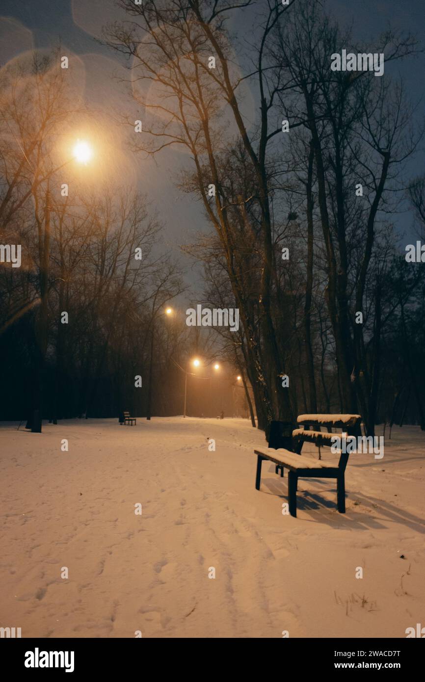 Empty winter park with street lamps at night. Winter landscape ...