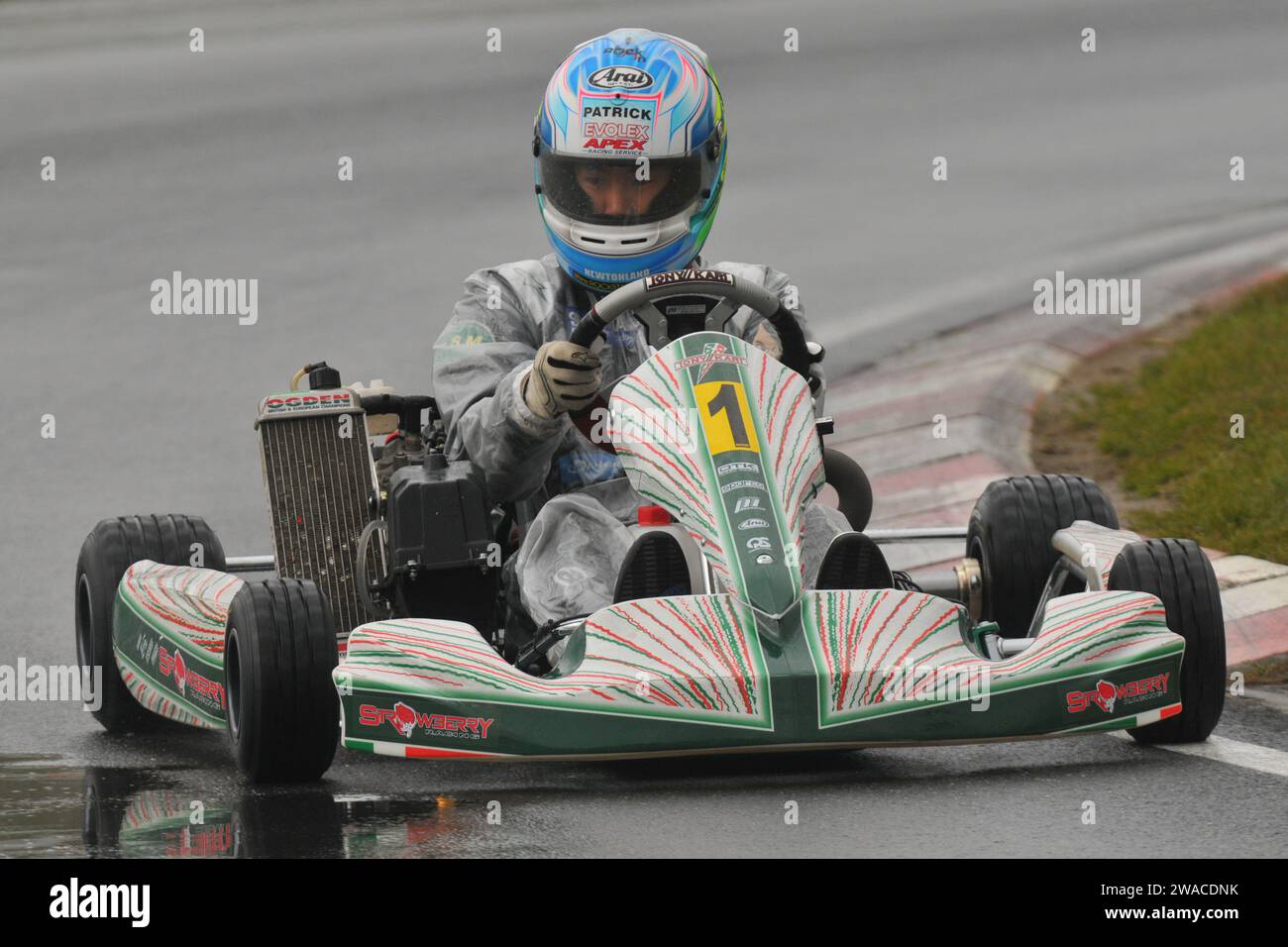 Japanese singer-songwriter Ren Nagabuchi, the former racing driver who ...