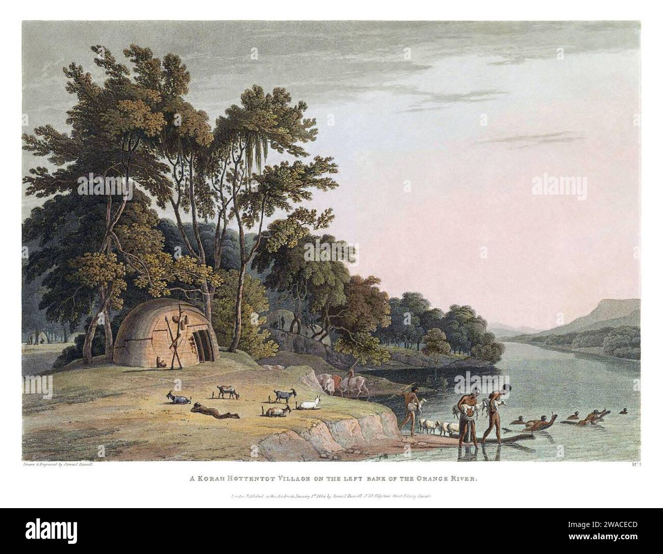 Hand-colored aquatint showing Khoekhoe villagers carrying sheep across ...