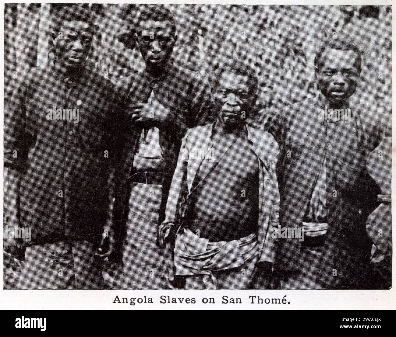 halftone of Angola slaves on San Thome, India, circa 1913 Stock Photo ...