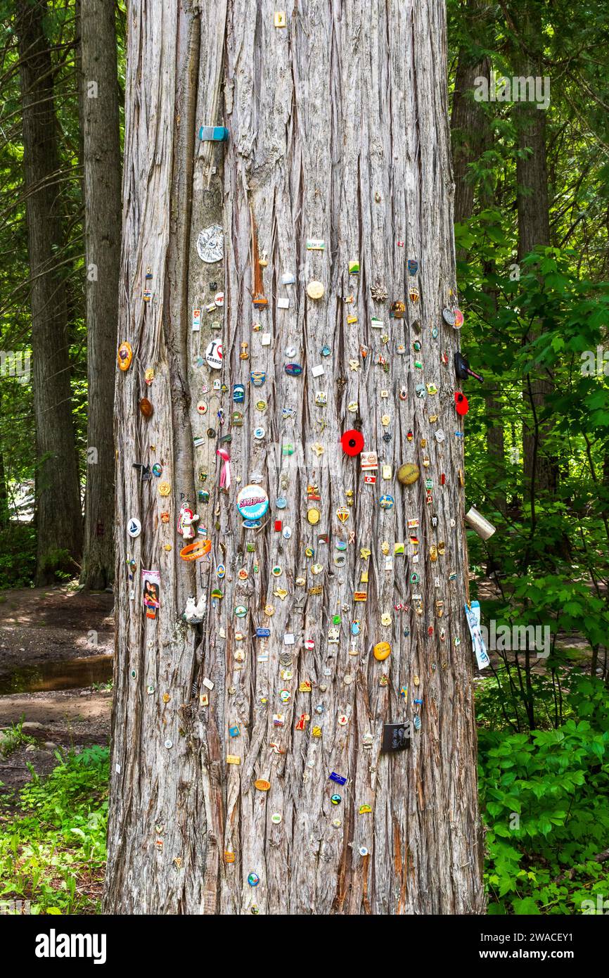 Creston, BC Canada - 11 JUN 2023: Blaze Creek Rest Area. Painted rocks ...