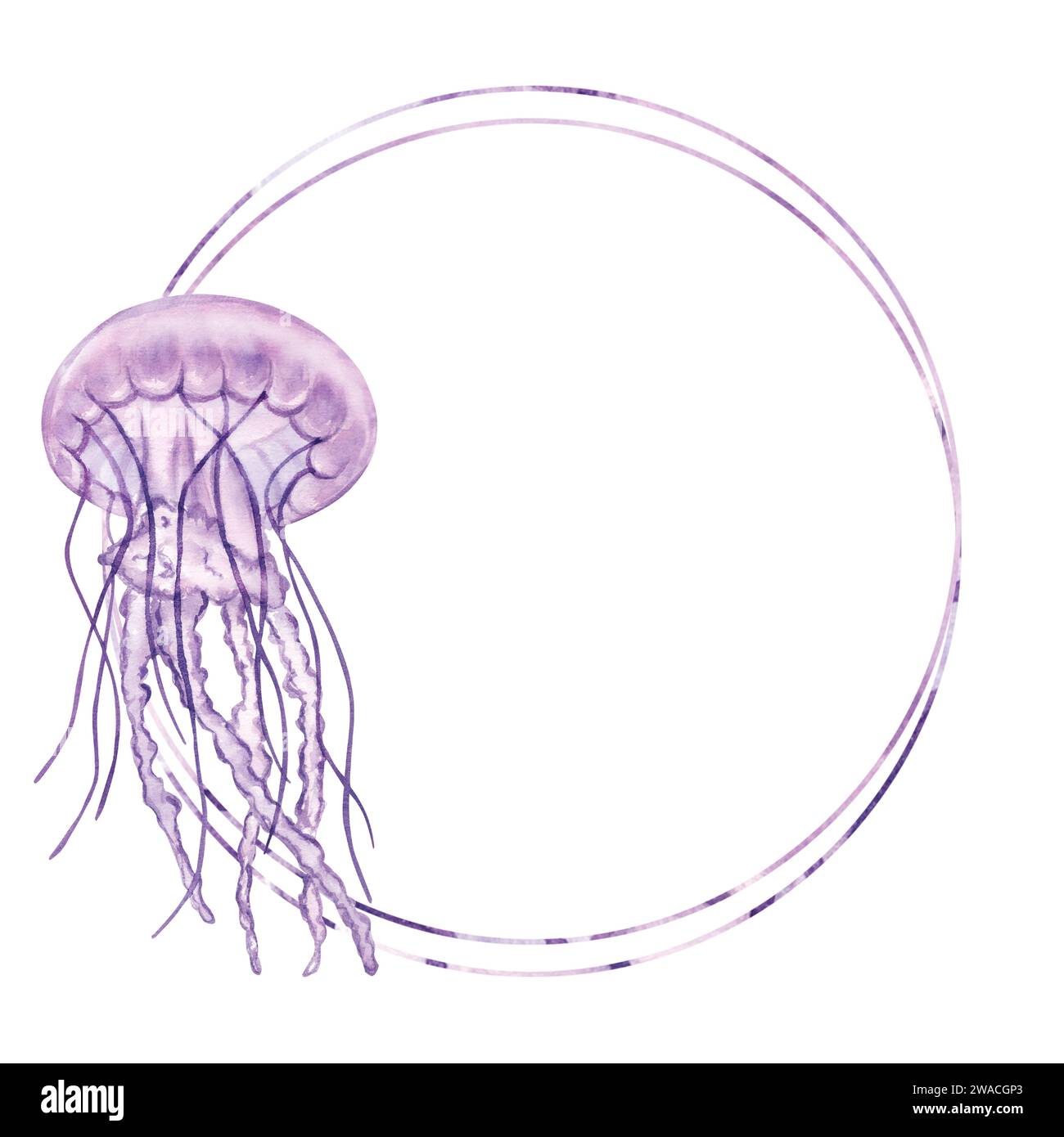 Jellyfish round frame. Transparent purple medusa. Deep sea toxic animal ...