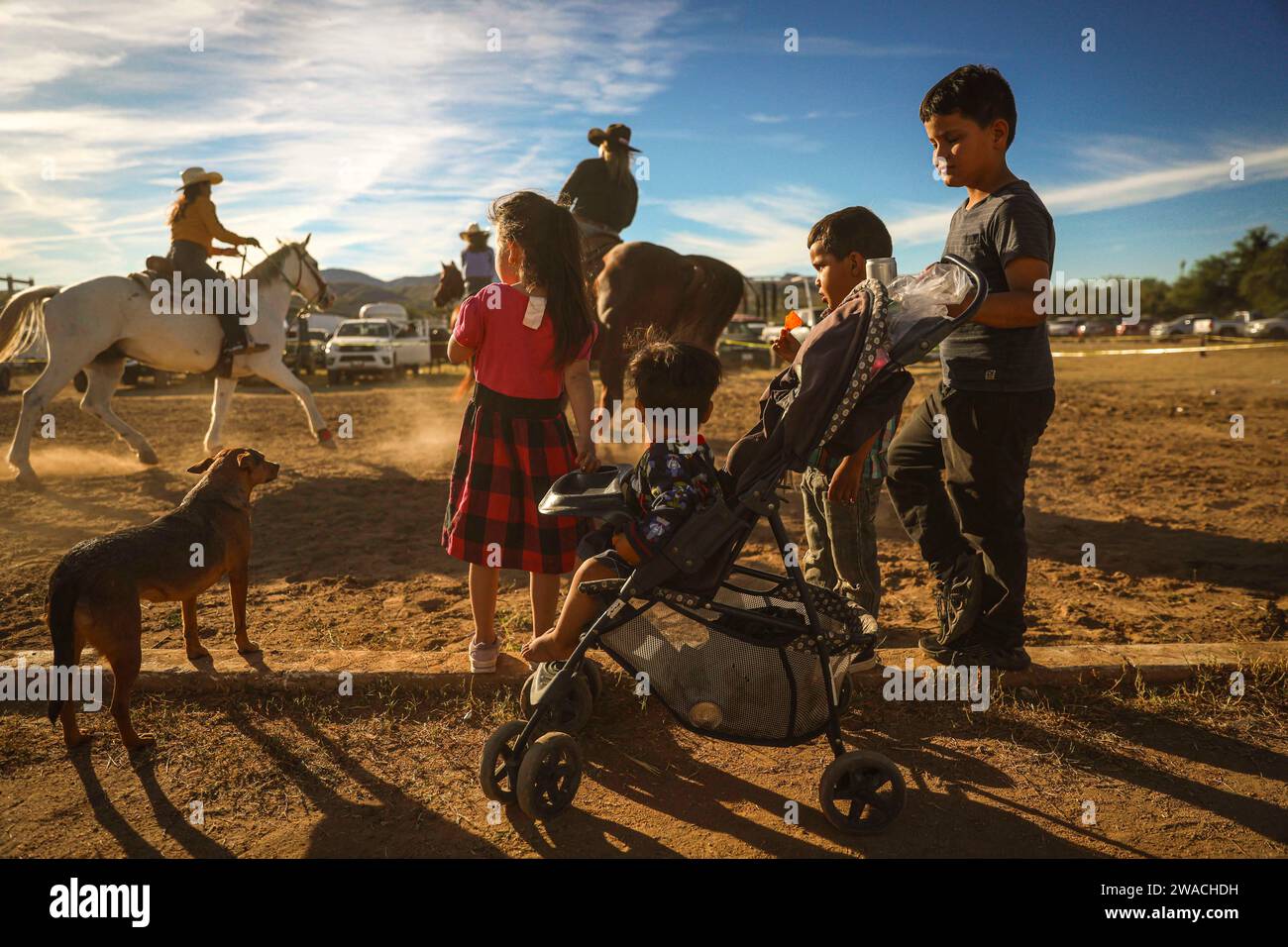 MOCTEZUMA, MEXICO - NOVEMBER 19: Four children, brothers and their dog ...
