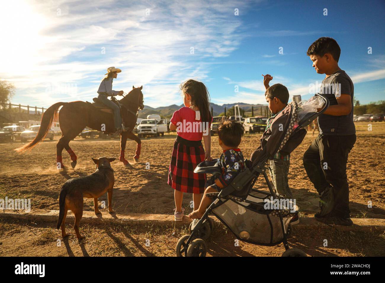 MOCTEZUMA, MEXICO - NOVEMBER 19: Four children, brothers and their dog ...