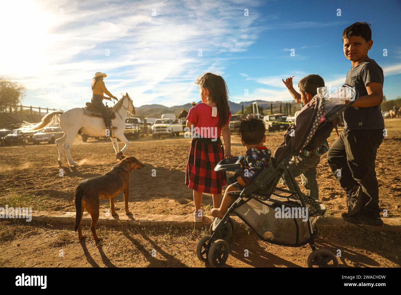 MOCTEZUMA, MEXICO - NOVEMBER 19: Four children, brothers and their dog ...