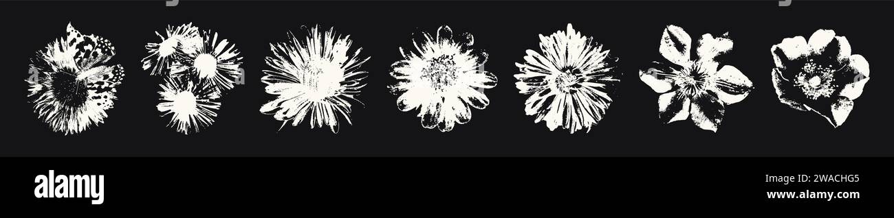 Flowers photocopy effect negative elements set vector illustration ...