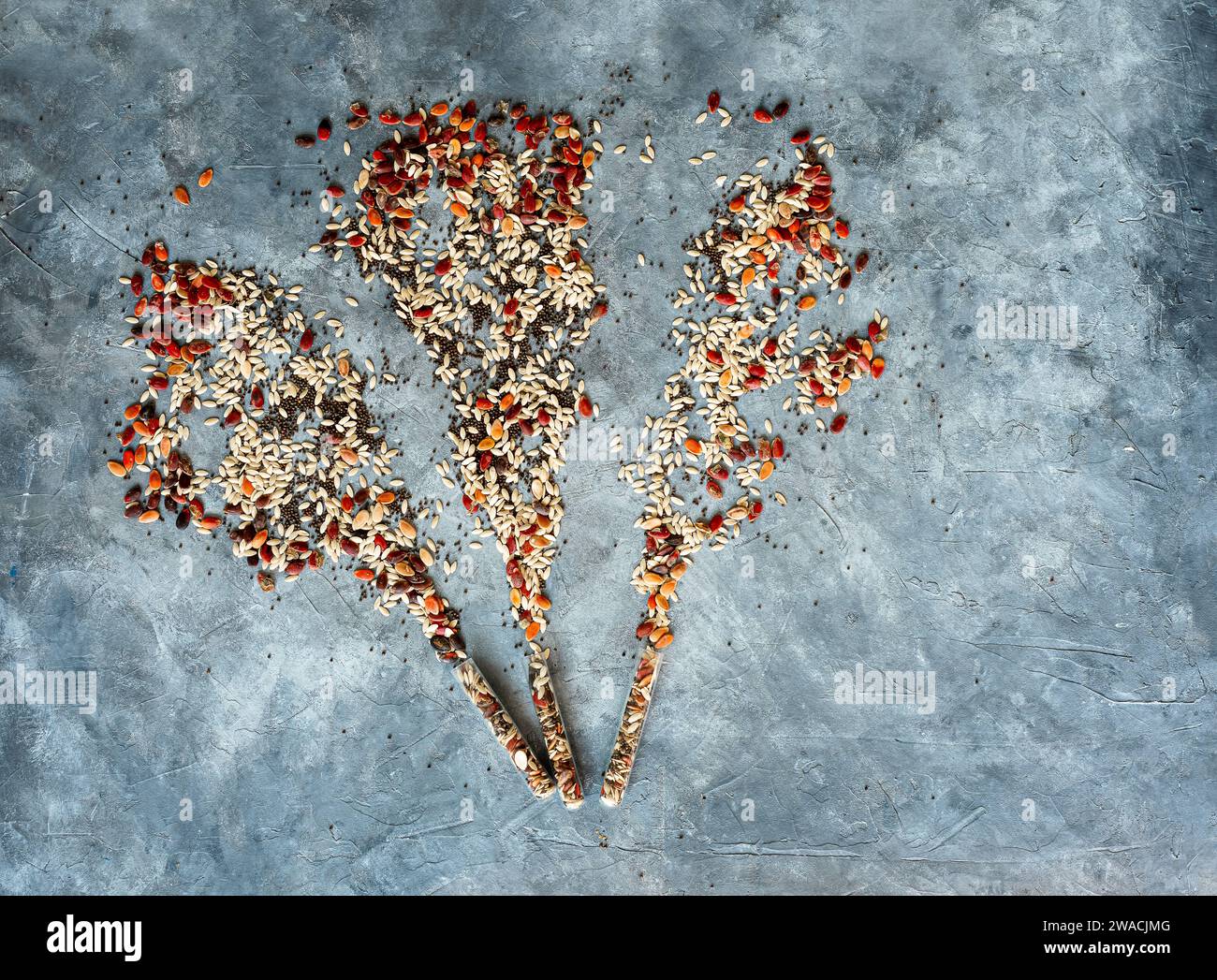 explosion of multicolored seeds from swarm tubes on a grey background ...