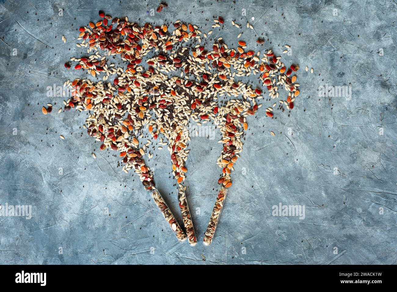 Etc graines hi-res stock photography and images - Alamy