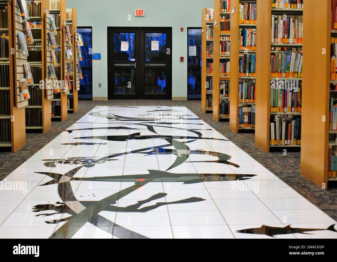 Sea life pattern library floor hi-res stock photography and images - Alamy