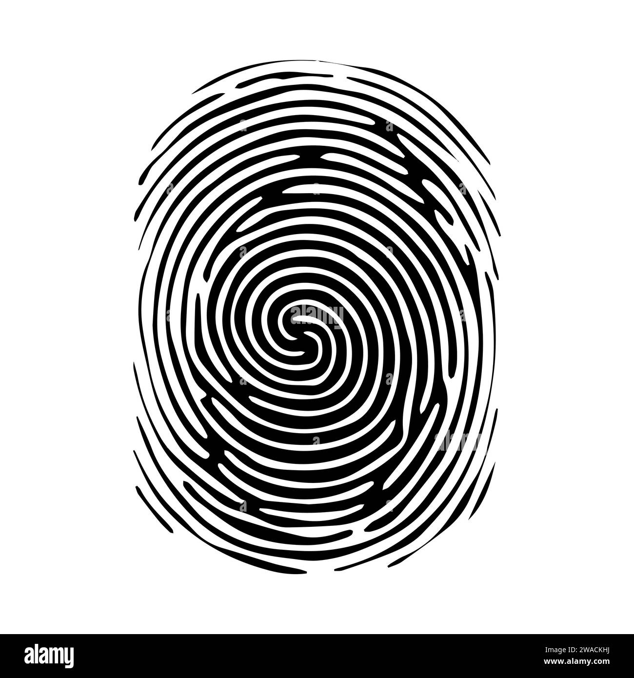 Fingerprint pattern, clear lines and swirls. Human thumbprint. Icon ...