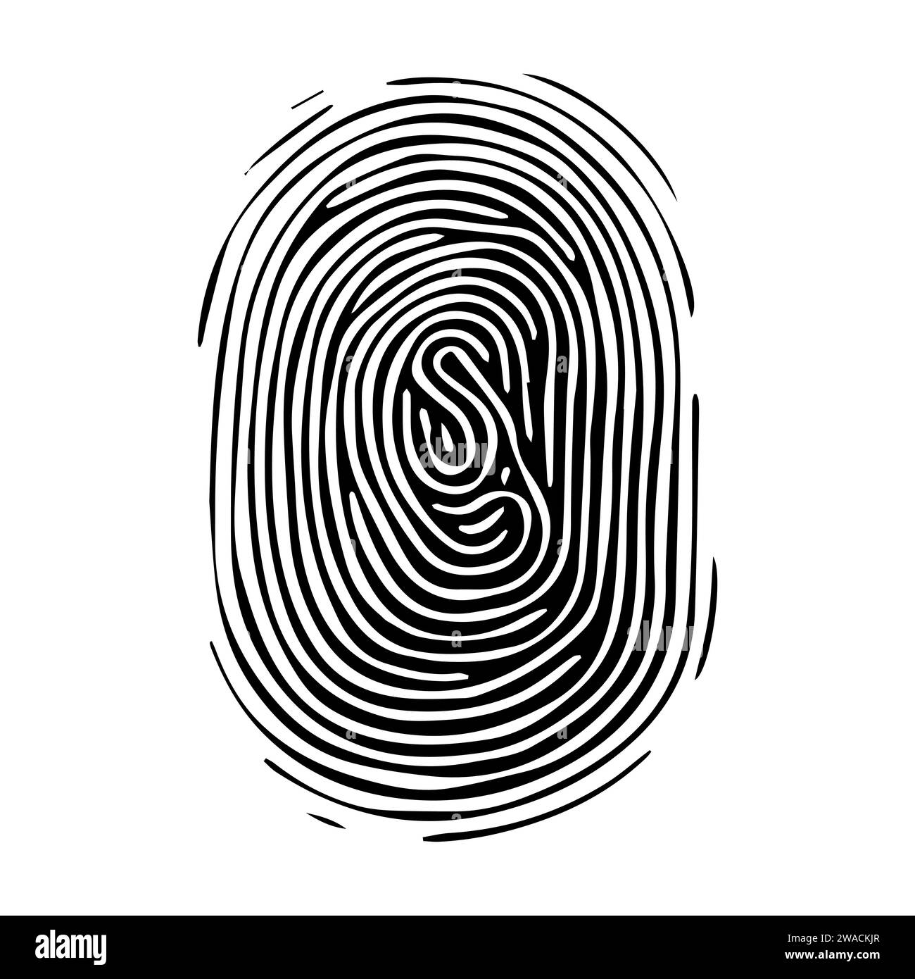 Fingerprint pattern clear lines hi-res stock photography and images - Alamy