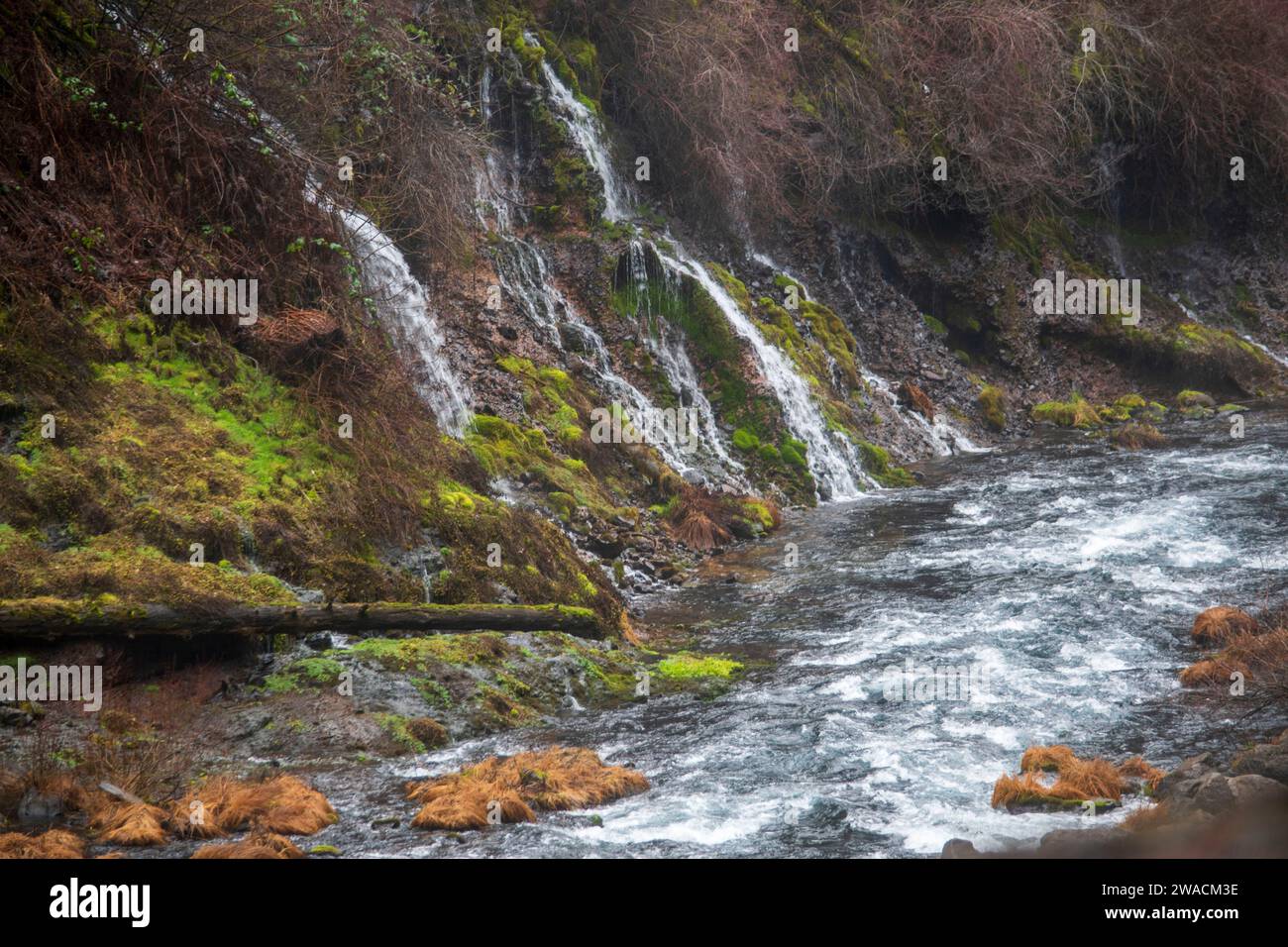 Burney Falls is an elegant and famous waterfall near Burney in Shasta ...