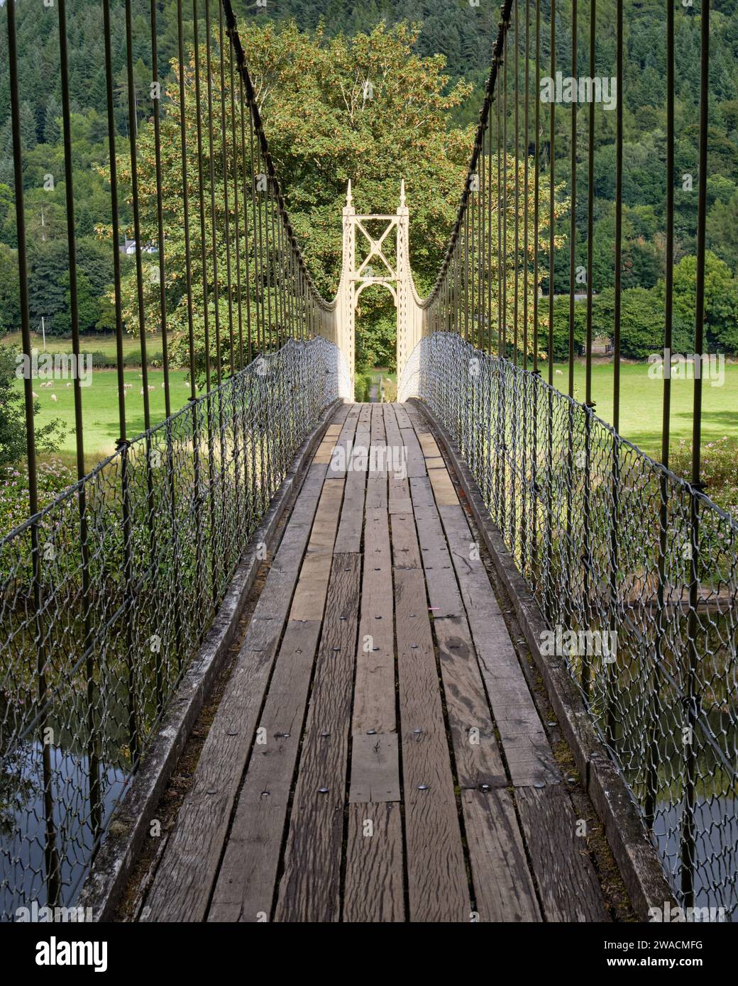 walking suspension bridge in wales, viewed from the end showing path ...
