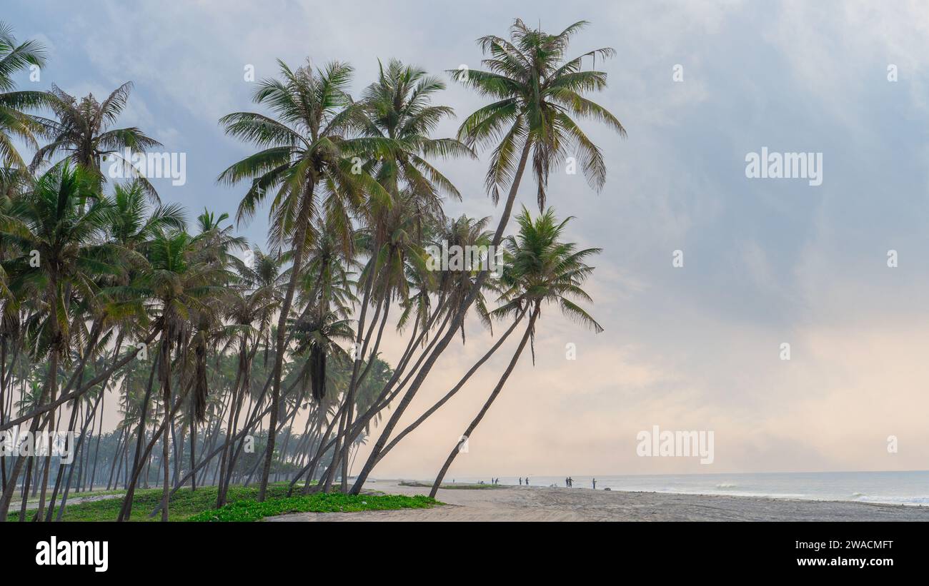 gorgeous al haffa beach in salalah during sunrise, Oman, officially the ...