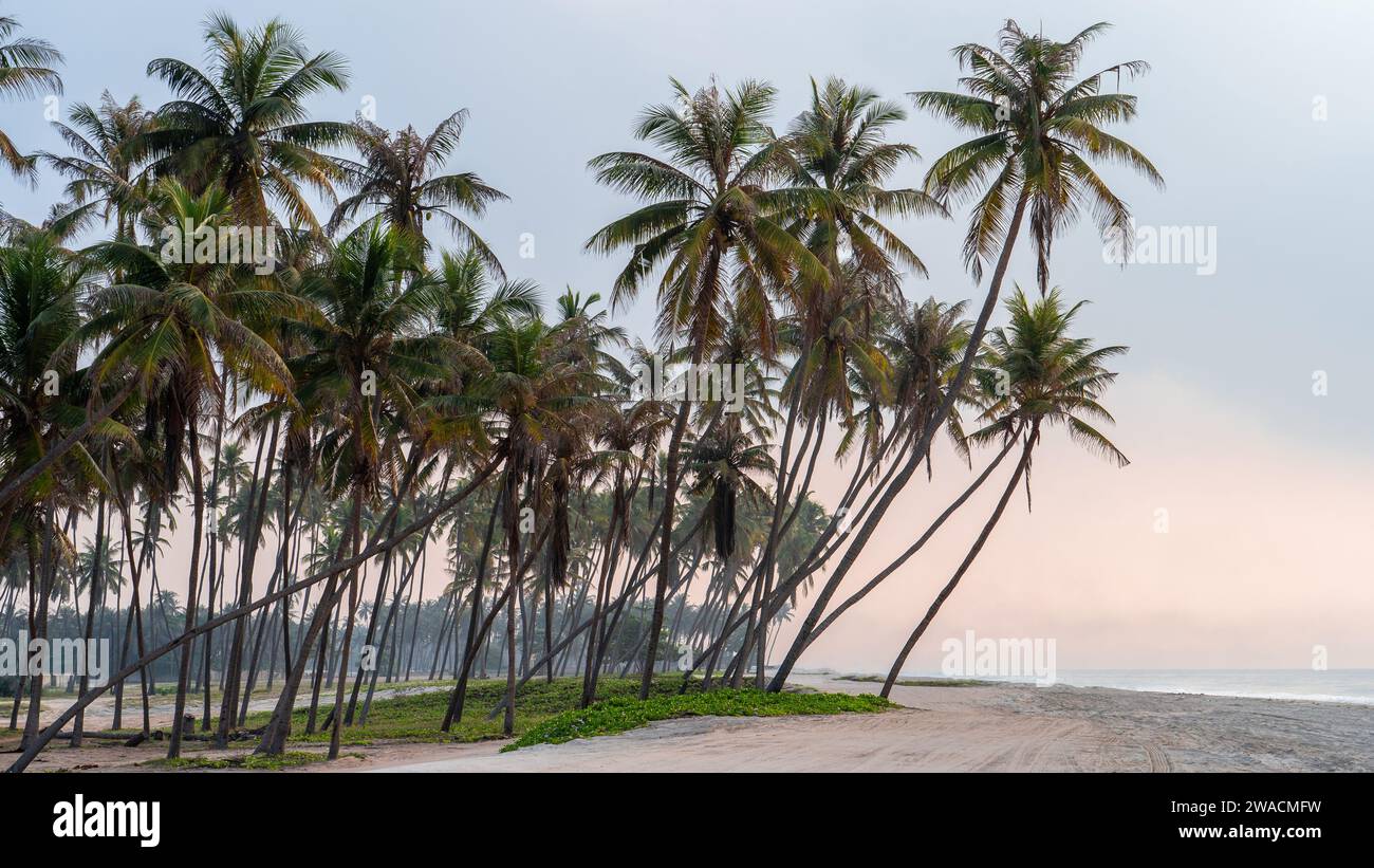 gorgeous al haffa beach in salalah during sunrise, Oman, officially the ...