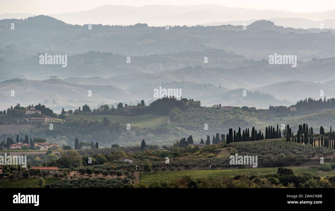 Typical Tuscan landscape with hills and cypresses in the very early ...