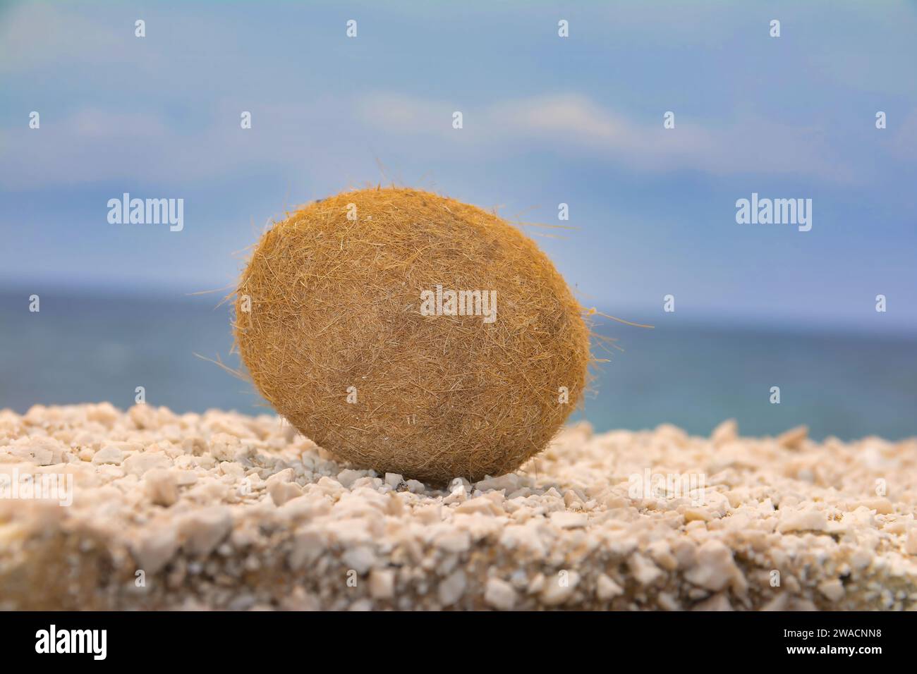 Neptutherm hi-res stock photography and images - Alamy