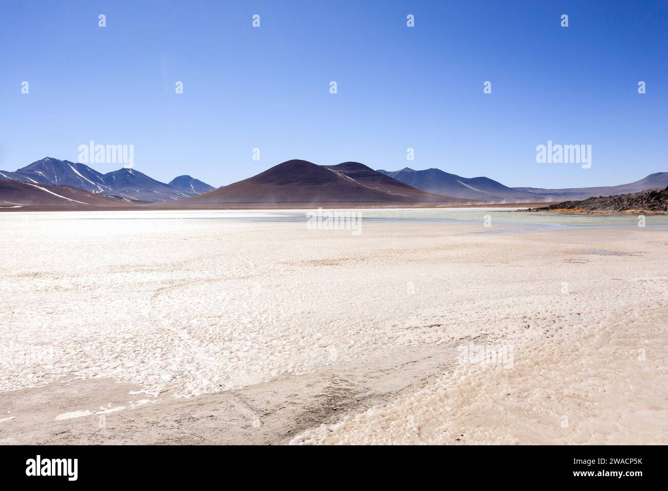 Laguna Blanca landscape,Bolivia. Beautiful bolivian panorama.White ...