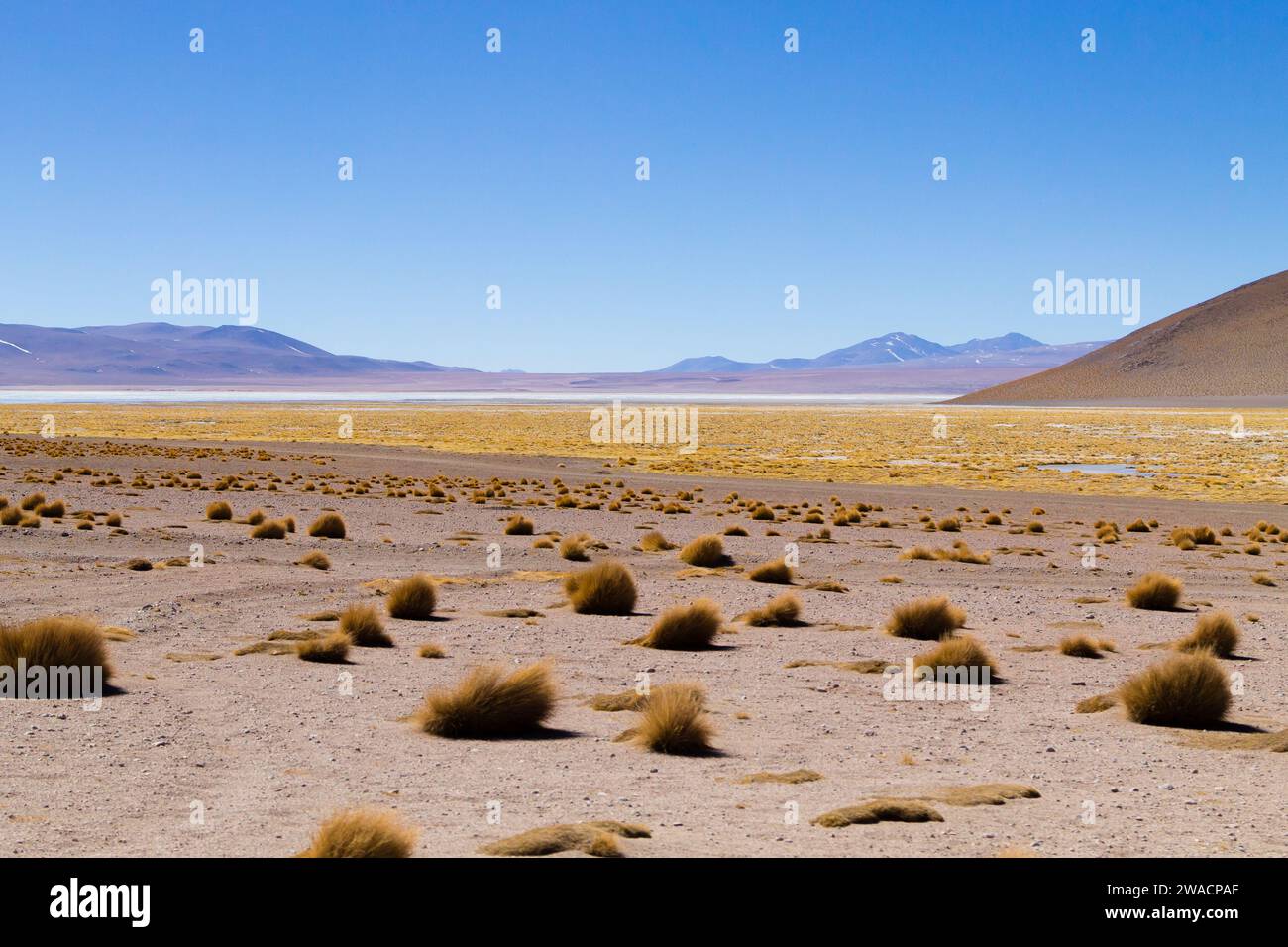 Bolivian mountains landscape,Bolivia.Andean plateau view Stock Photo ...