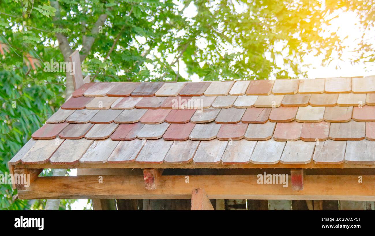 Part of wooden roof tiles on blur tree background and the sun light ...